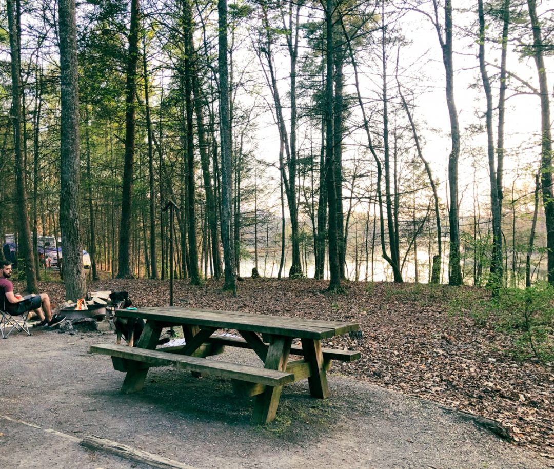 9 Best Campgrounds Near Johnson City, TN for Outdoor Fun
