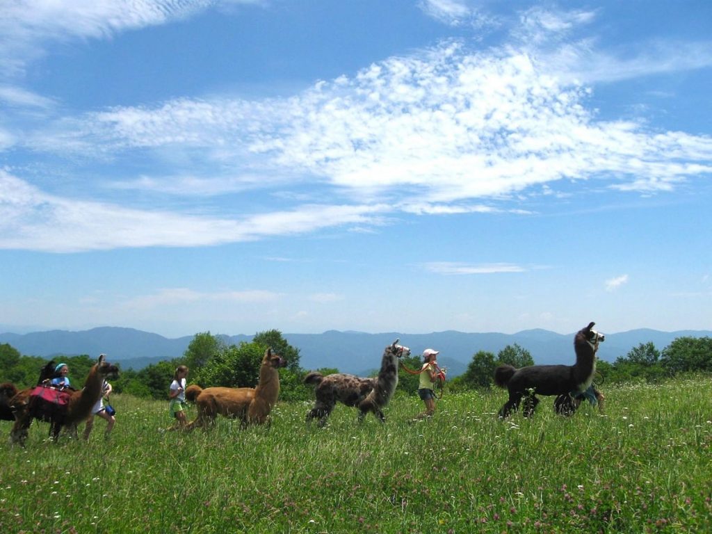 13 Fun & Historic Things to Do in Greeneville, Tennessee