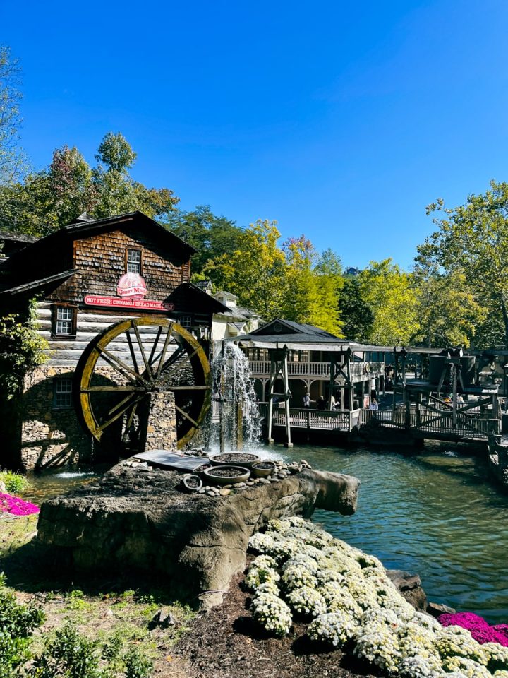 Dollywood's Harvest Festival: Top Things to Do in the Fall!