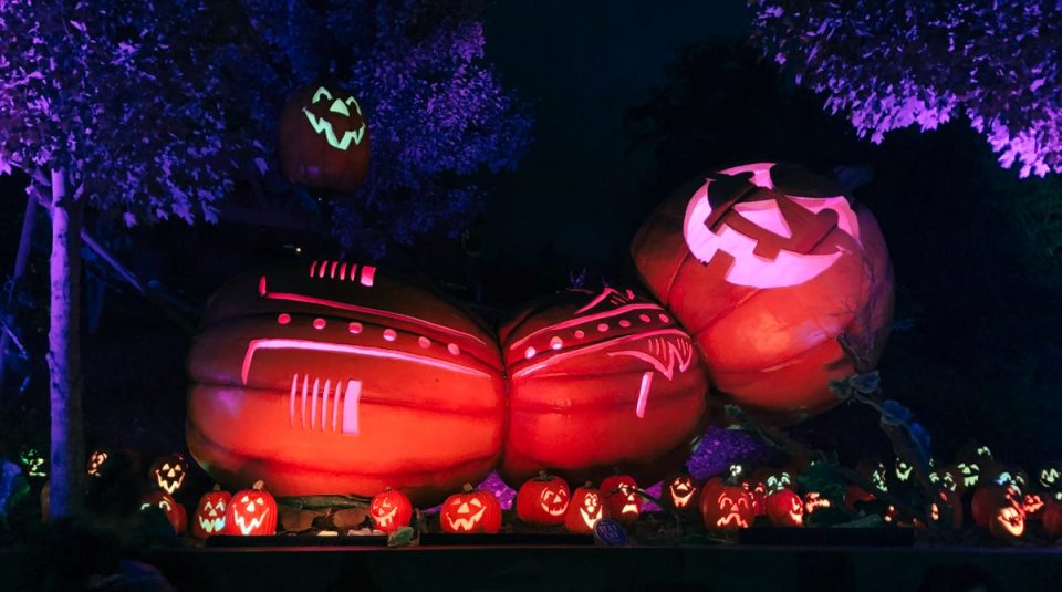 Dollywood's Harvest Festival: Top Things to Do in the Fall!