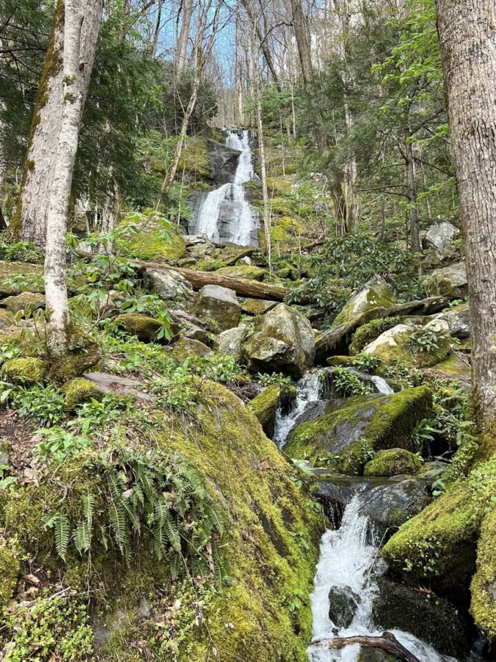 13 Best Waterfalls in the Smoky Mountains You Must Visit