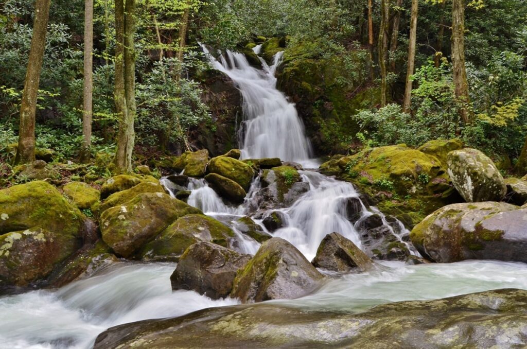 13 Best Waterfalls in the Smoky Mountains You Must Visit