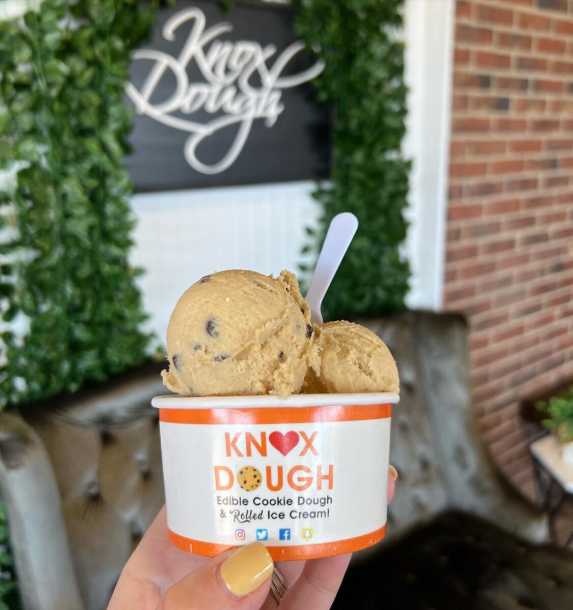 The 9 Best Food Trucks in Knoxville (& Where to Find Them)