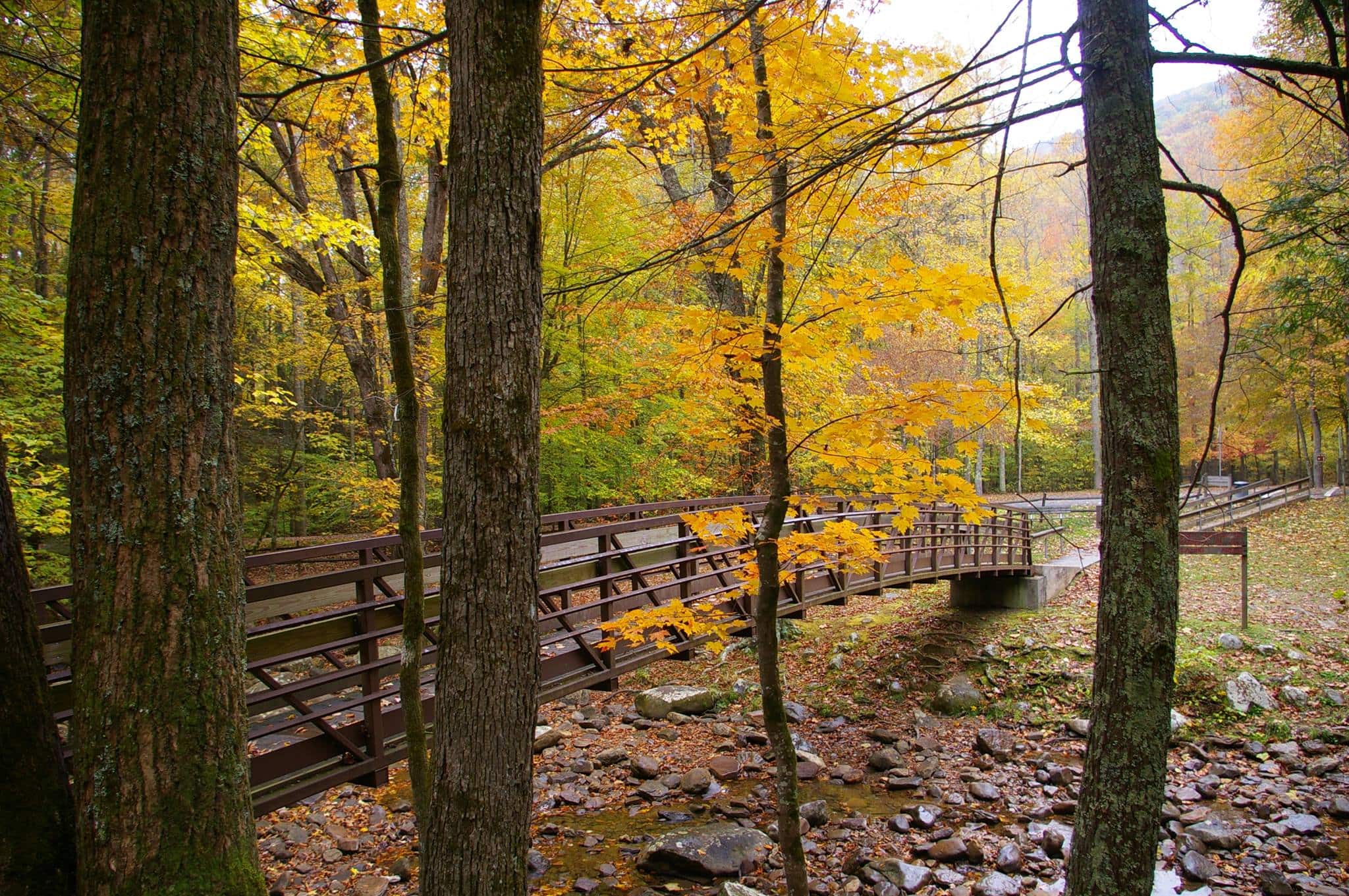 8 Must-See State Parks Near Knoxville • Take Me to Travel Now