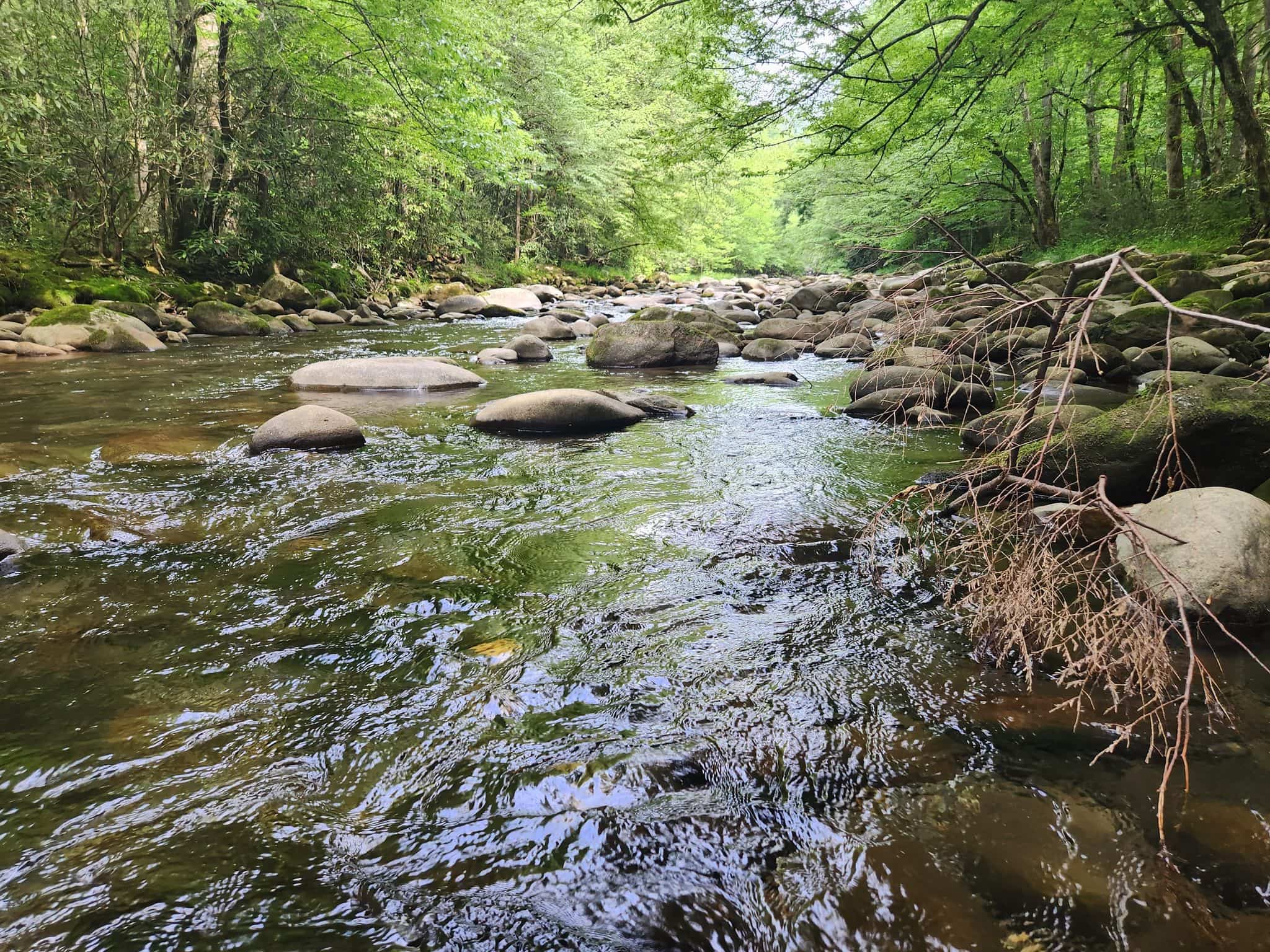 9 Very Best Hiking Trails Near Gatlinburg (Great Smokies)