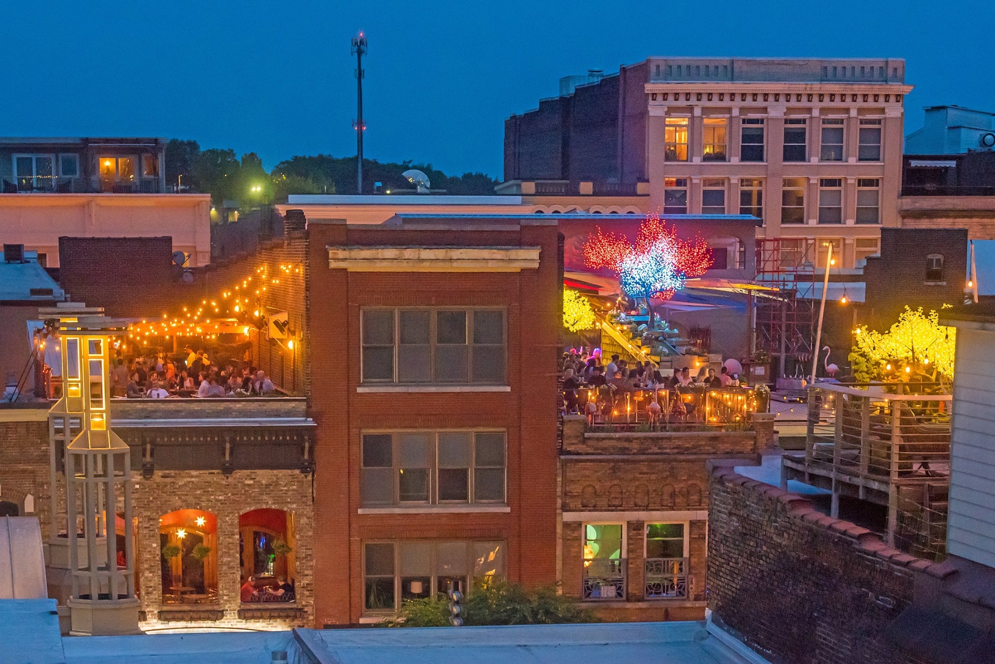 11 Best Bars in Knoxville for Drinks, Music, & Nightlife