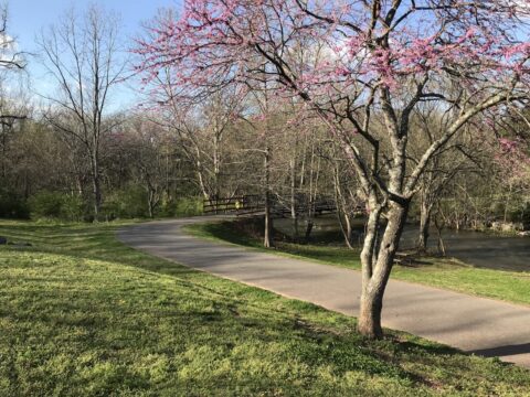 15 Best Things to Do in Murfreesboro • Take Me to Travel Now