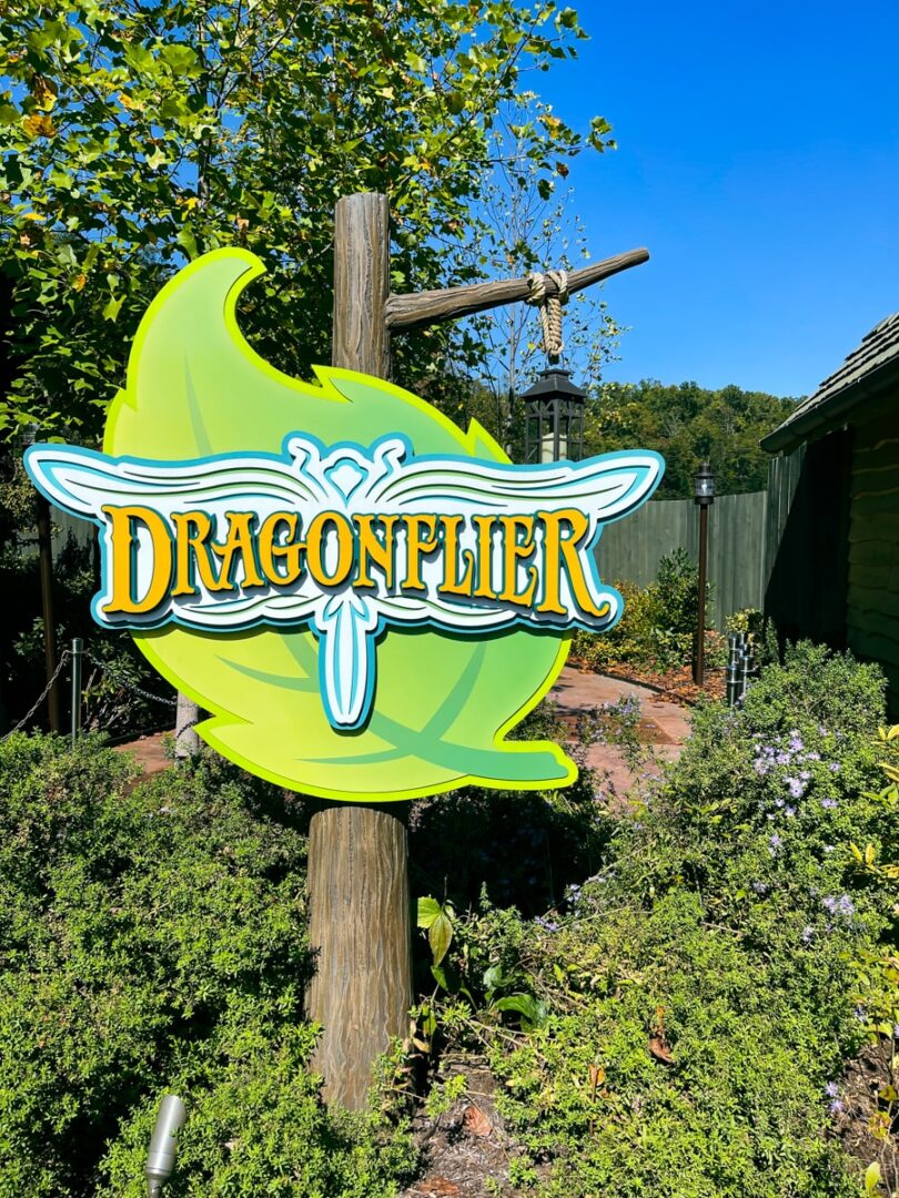 10 Best Thrilling Rides at Dollywood for Thrillseekers