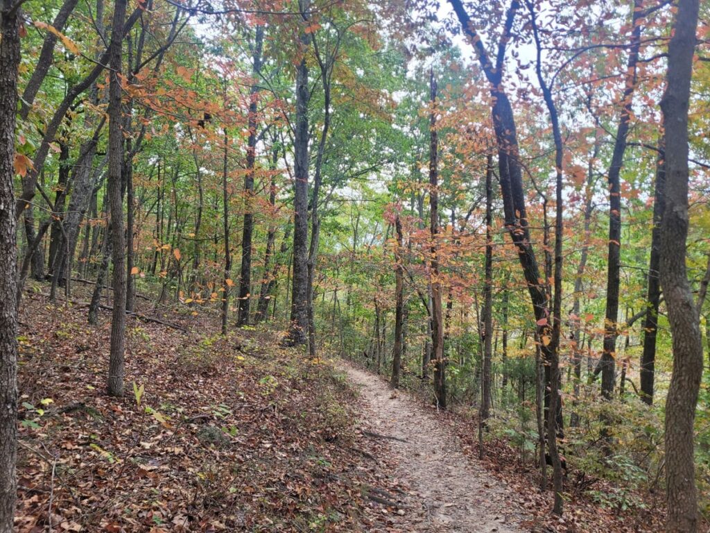 14 Fall Hikes in Tennessee with Sweeping Fall Foliage Views