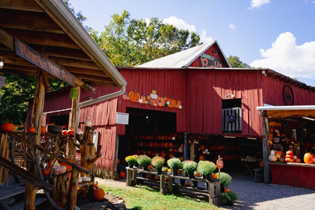 Fall in Johnson City, TN: Best Fall Activities & More!