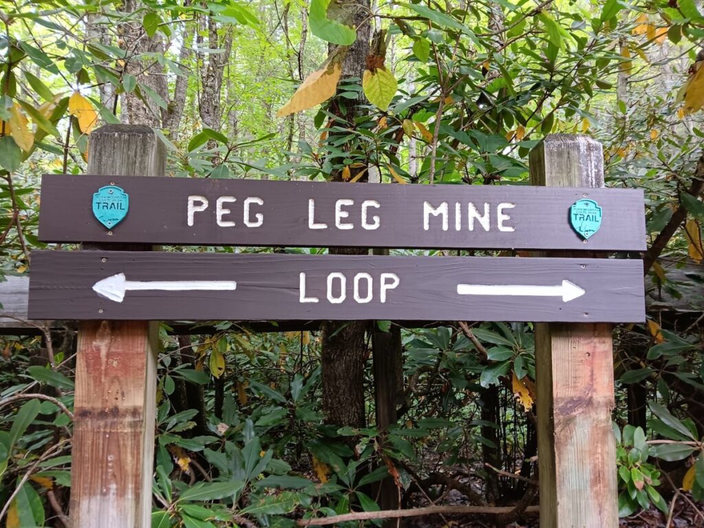 14 Fall Hikes in Tennessee with Sweeping Fall Foliage Views