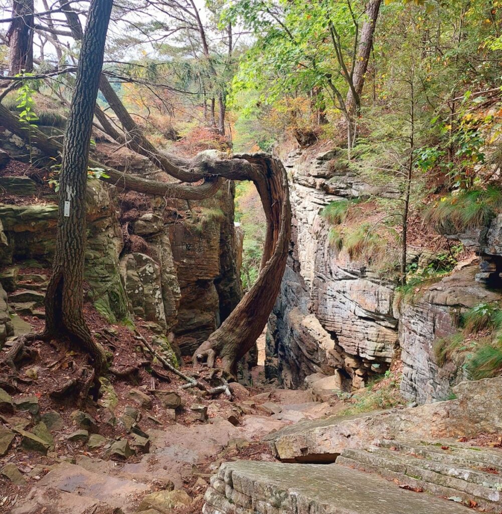 14 Fall Hikes in Tennessee with Sweeping Fall Foliage Views