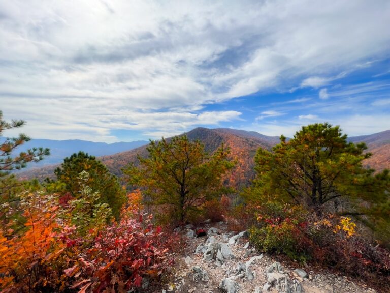 Fall in Tennessee: The Ultimate Guide & Autumn Bucket List