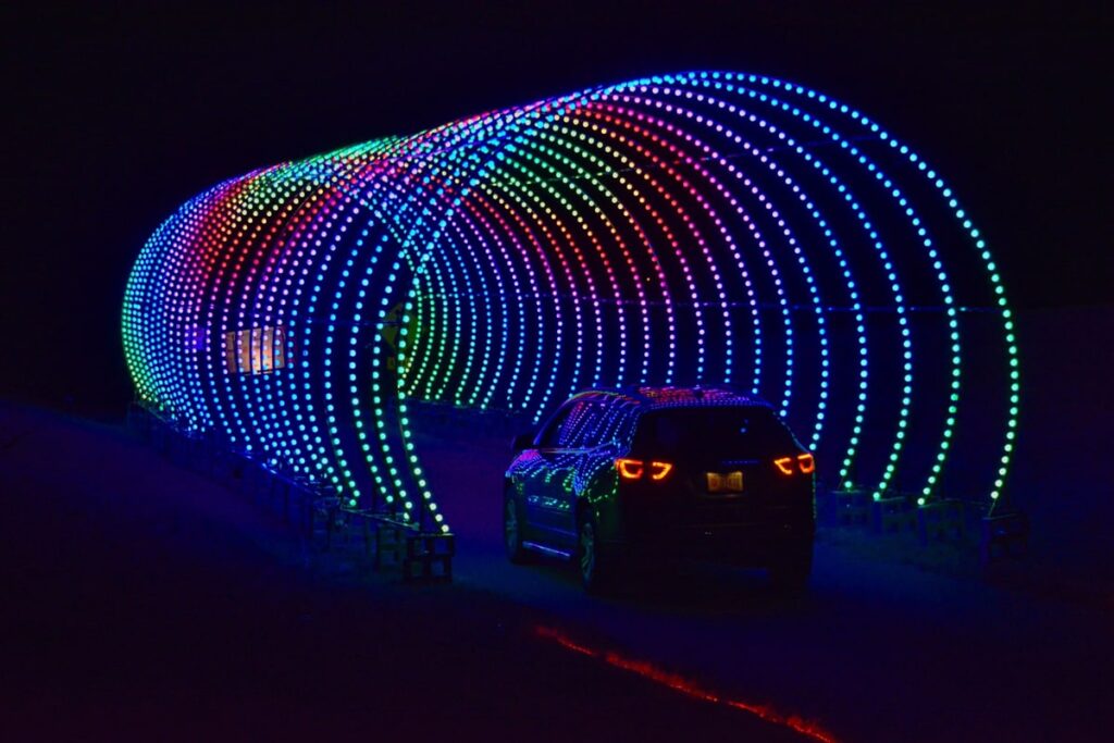 Winter in Memphis: Magical Things to Do & Places to Visit