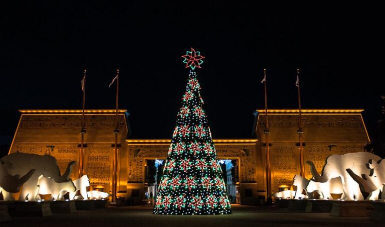 Winter in Memphis: Magical Things to Do & Places to Visit