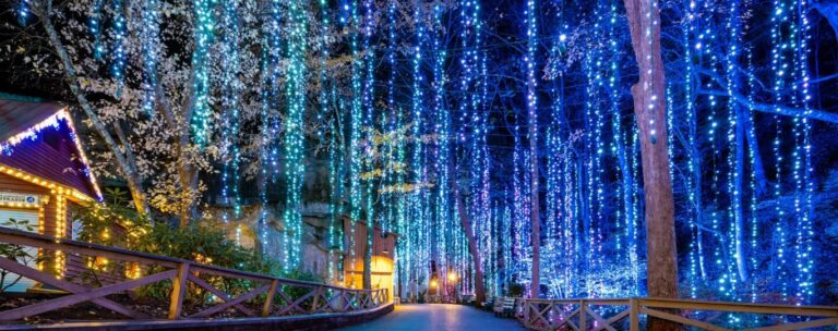 Winter in Tennessee: 15 Fun Places to Go & Cozy Things to Do