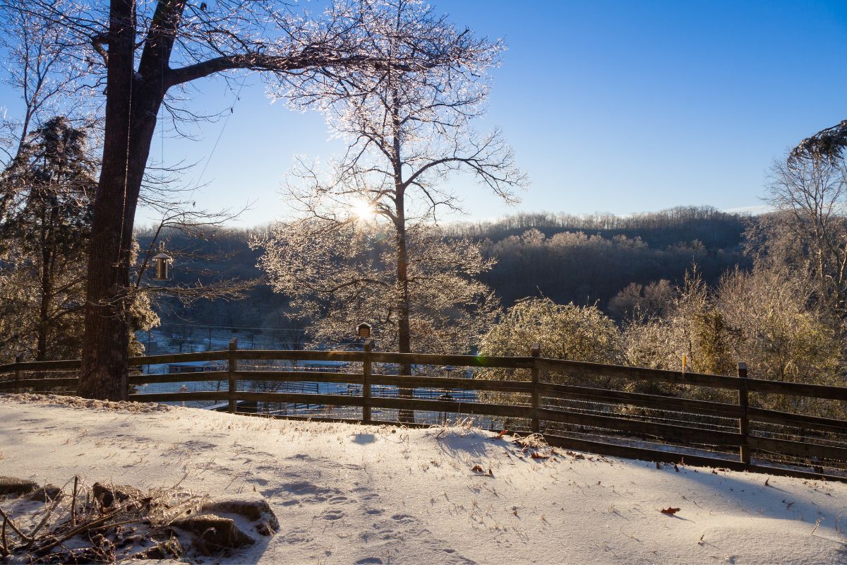 9 of the Best Winter Hikes in Tennessee (Complete Guide)