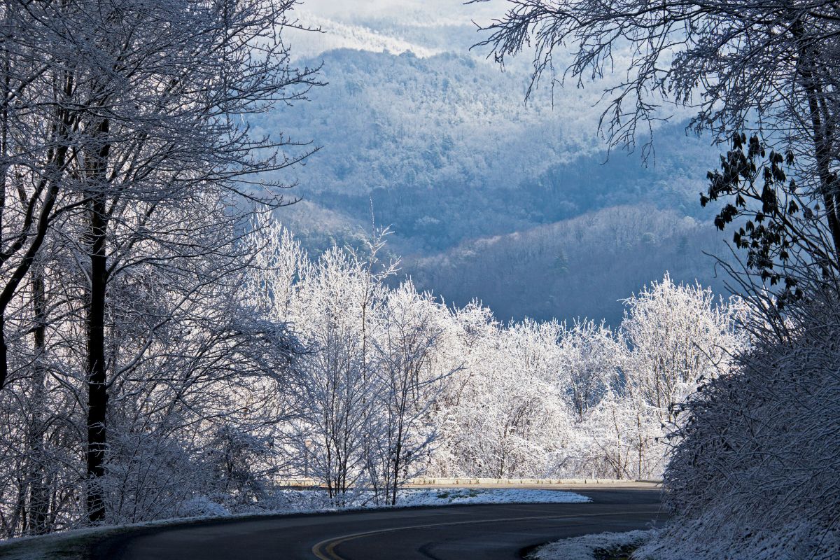 9 of the Best Winter Hikes in Tennessee (Complete Guide)