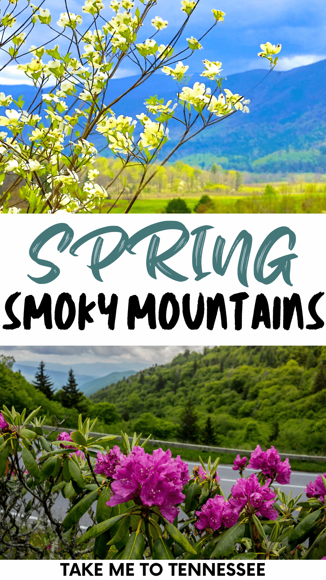 Smoky Mountains in The Spring: Things to Do & Places to Go
