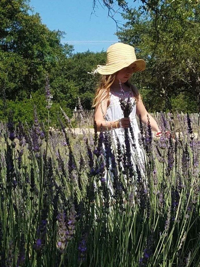 Texas' Beloved Blanco Lavender Festival Returns June 5–7, 2026