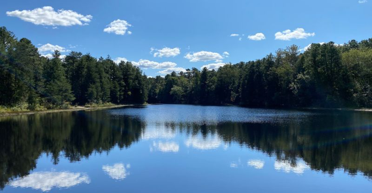 16 Quiet New Jersey Forest Escapes Perfect for a Screen-Free Afternoon