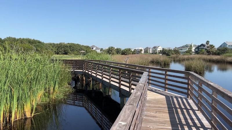This Texas Boardwalk Trail Winds Through A Hidden Bird Sanctuary Most ...