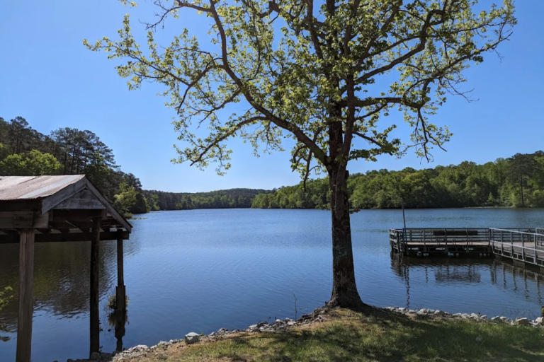 These 10 Stunning Tennessee Parks Are Shockingly Empty Compared to the ...