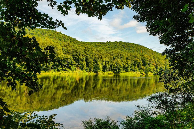 16 Quiet New Jersey Forest Escapes Perfect for a Screen-Free Afternoon