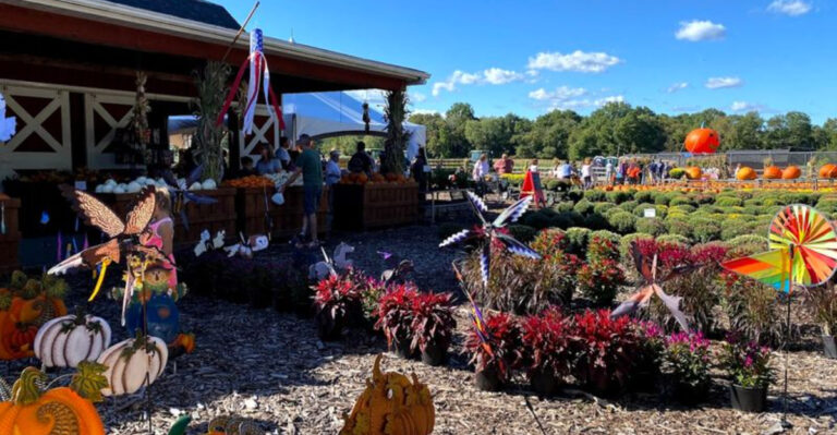 From Fresh Produce to Pumpkin Hayrides, This New Jersey Spot Keeps ...
