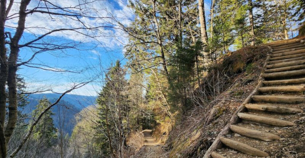 The Million-Dollar Views From This Tennessee Trail Are Almost Too Good ...