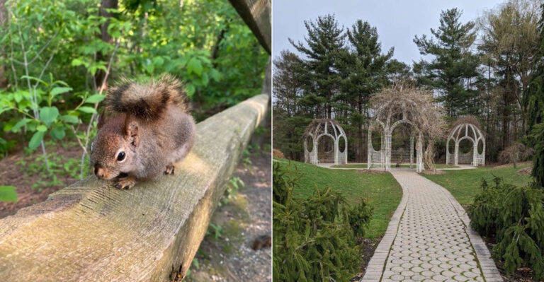 This Ohio Nature Center Is The Perfect Peaceful Family Getaway